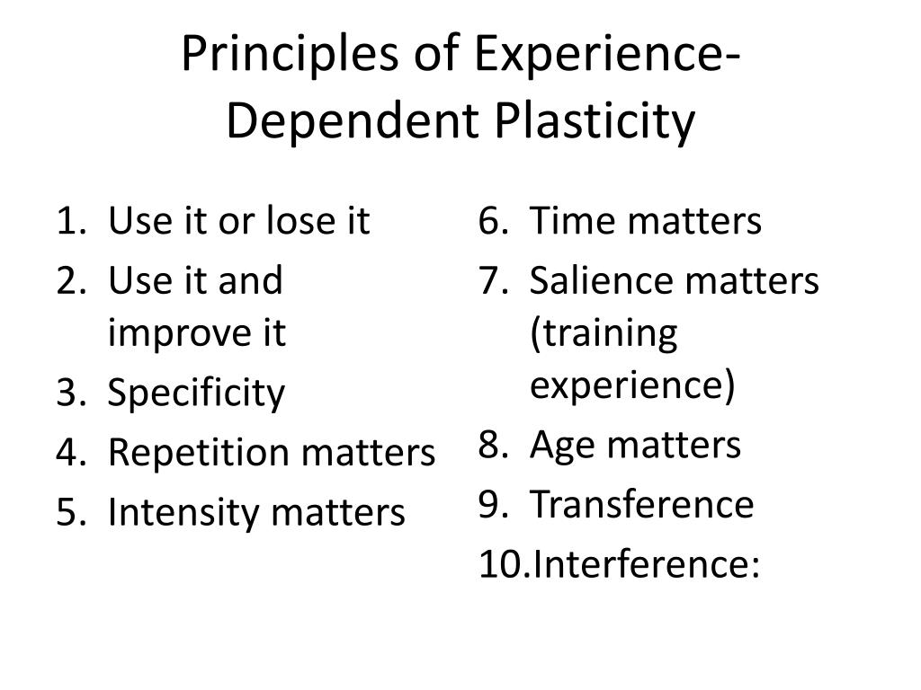 PPT - PTP 512 Neuroscience in Physical Therapy Neuroplasticity ...