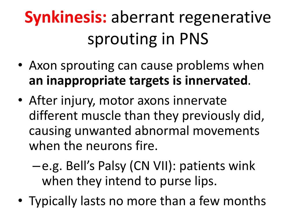 PPT - PTP 512 Neuroscience in Physical Therapy Neuroplasticity ...