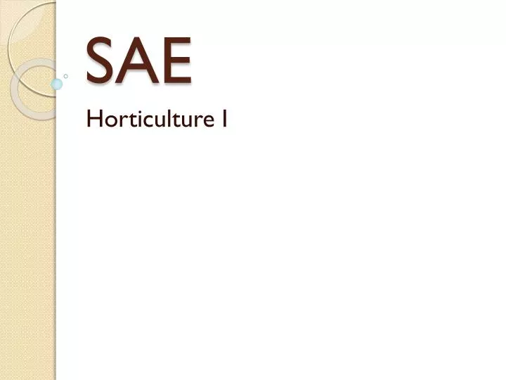 PPT - SAE PowerPoint Presentation, free download - ID:6695307