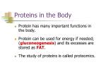PPT - Protein PowerPoint Presentation - ID:6696818