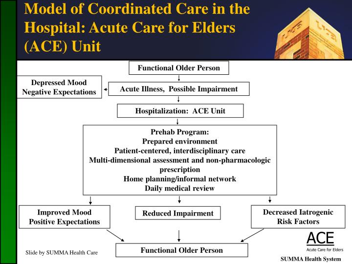 PPT - Acute Care for Elders (ACE) Units: Geriatric Care as a Team Sport ...