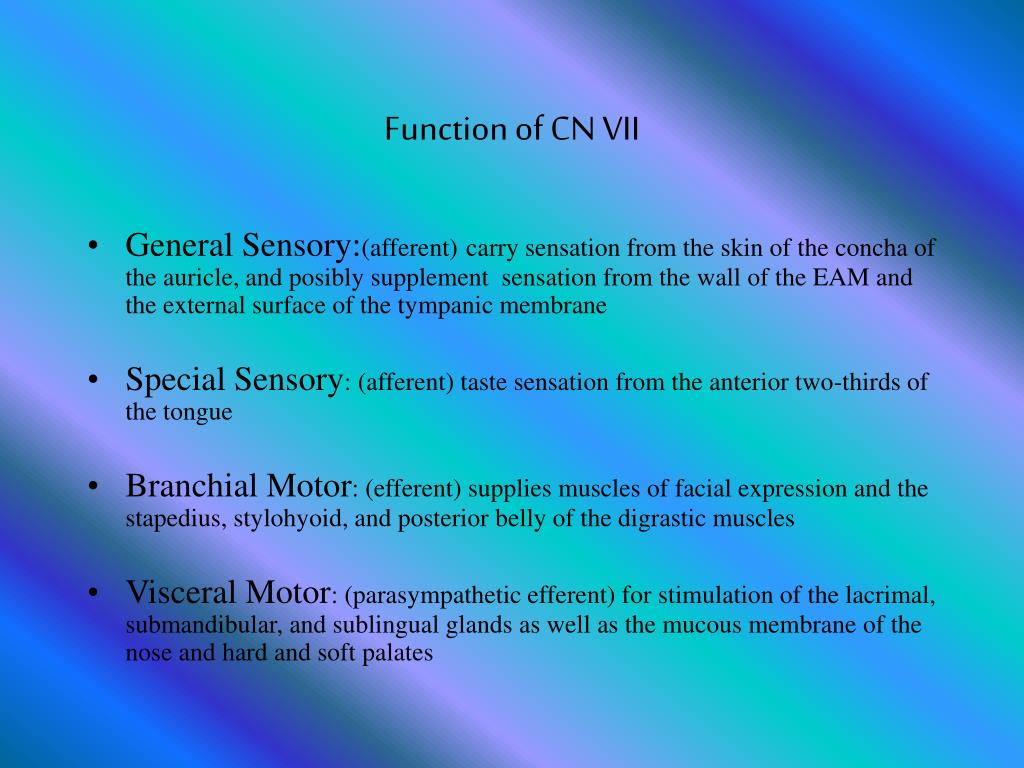 PPT - Cranial Nerve Evaluation Acoustic Neuroma and the Facial Nerve ...