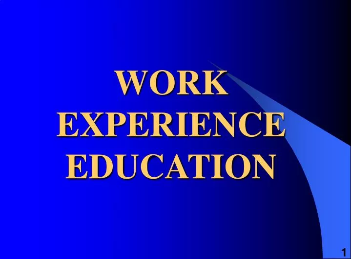 PPT - WORK EXPERIENCE EDUCATION PowerPoint Presentation, free download ...