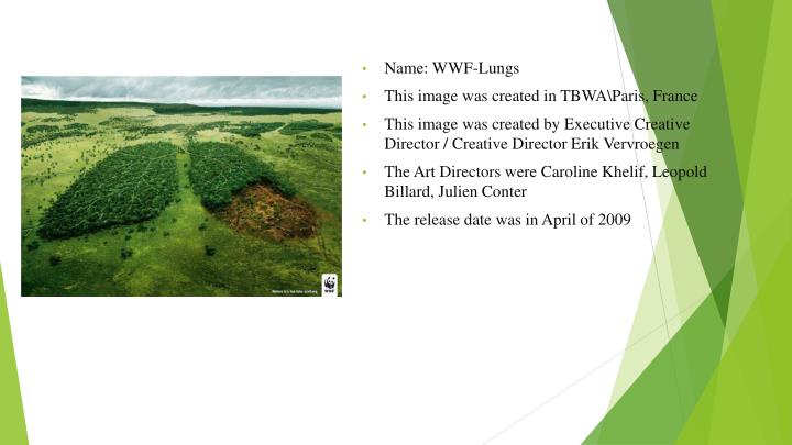 PPT - WWF-Lungs PowerPoint Presentation - ID:6698934