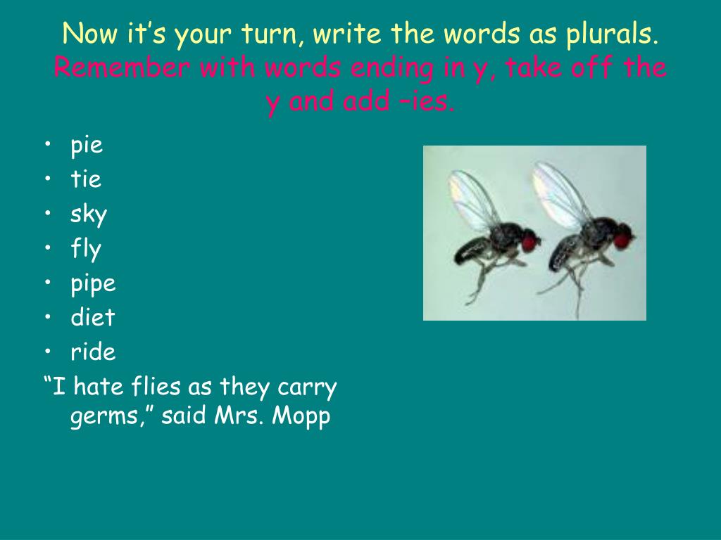 Ppt The Long Vowel Phoneme Ie Powerpoint Presentation Free Download
