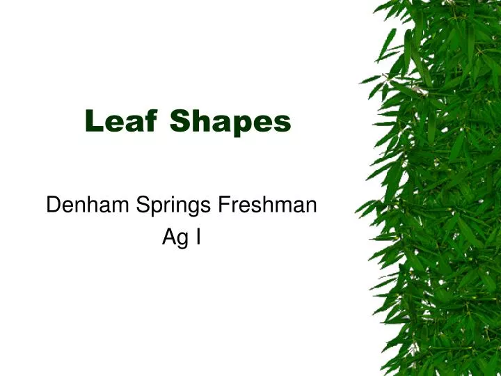 PPT - Leaf Shapes PowerPoint Presentation, free download - ID:6700724