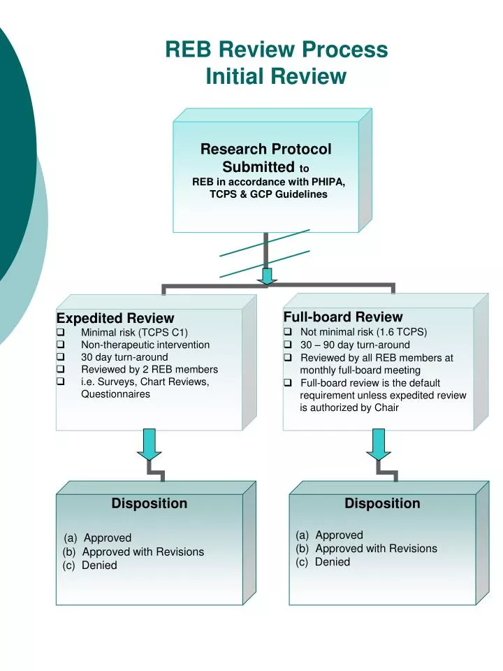 PPT - REB Review Process Initial Review PowerPoint Presentation, free ...
