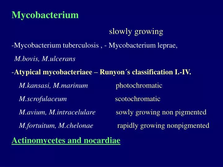 PPT - Mycobacterium slowly growing PowerPoint Presentation, free ...