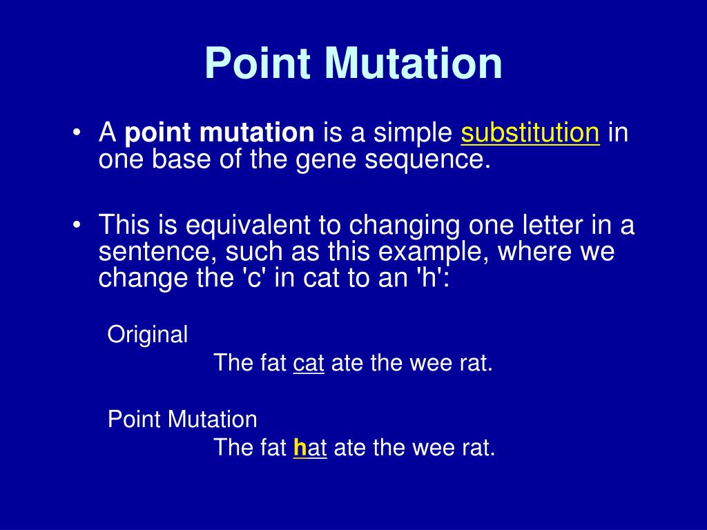 PPT - Protein Synthesis : DNA Transcription into mRNA and mRNA ...