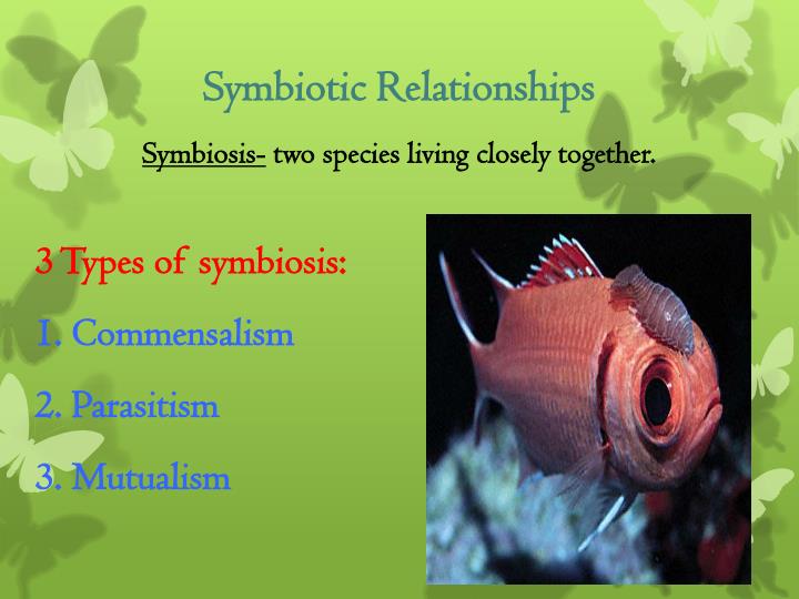 PPT - Symbiotic Relationships PowerPoint Presentation - ID:6702141 PPT - Symbiotic Relationships PowerPoint Presentation - ID:6702141