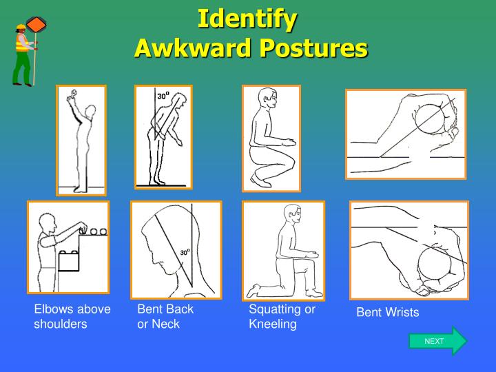 PPT - Skilled Crafts & Labor Ergonomics PowerPoint Presentation - ID ...