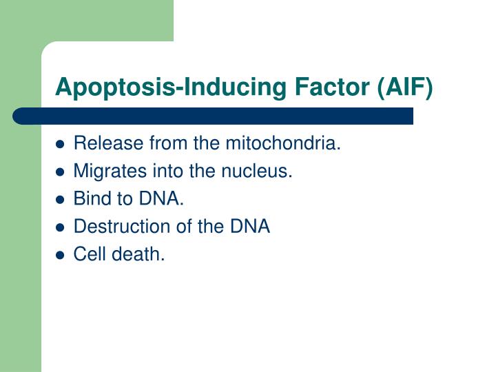 PPT - Cell Death PowerPoint Presentation - ID:6703482