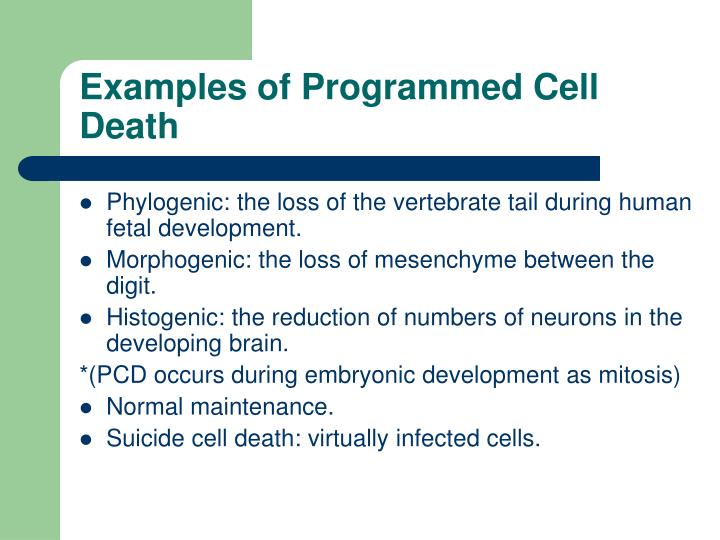 PPT - Cell Death PowerPoint Presentation - ID:6703482