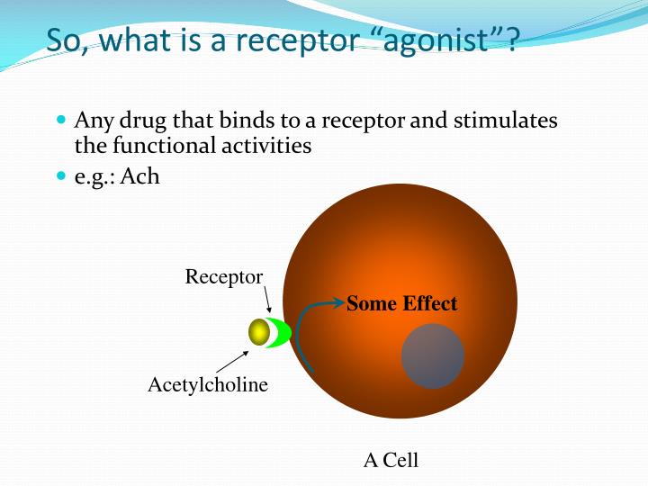 PPT - Pharmacodynamics PowerPoint Presentation - ID:6703510