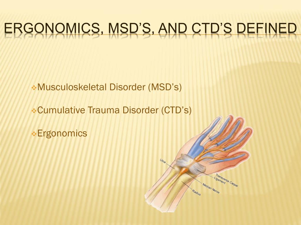 PPT - ERGONOMIC HAZARDS: MUSCULOSKELETAL DISORDERS (MSD'S) AND ...