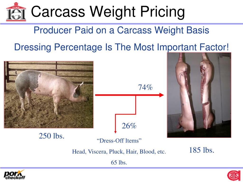 Ppt Pork Carcass Lean Value Pricing Powerpoint Presentation Free Download Id6706151