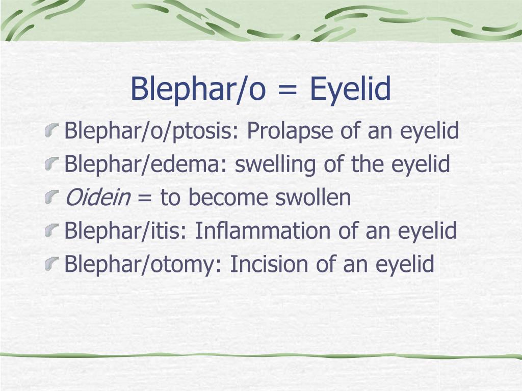 PPT - Medical Terminology PowerPoint Presentation, free download - ID ...