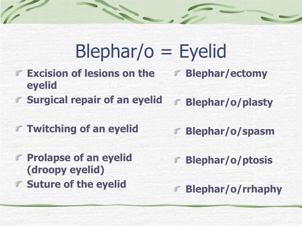 PPT - Medical Terminology PowerPoint Presentation, free download - ID ...