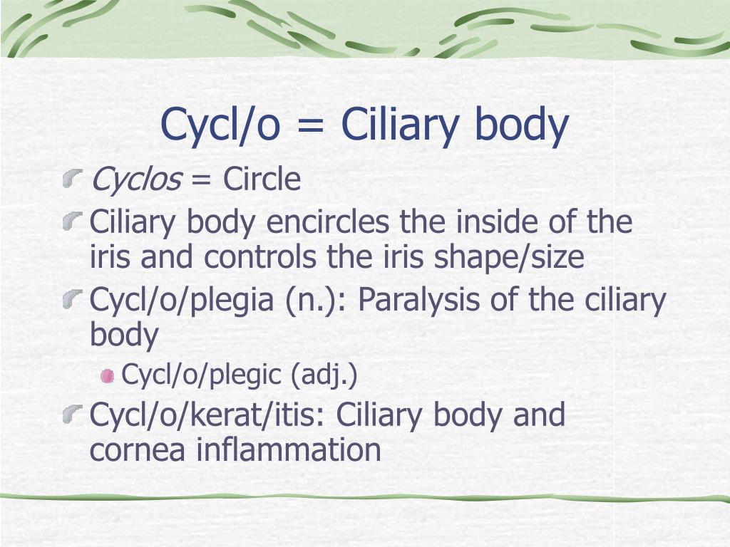 PPT - Medical Terminology PowerPoint Presentation, free download - ID ...