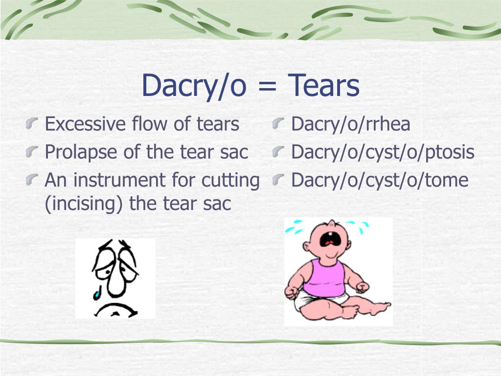 PPT - Medical Terminology PowerPoint Presentation, free download - ID ...