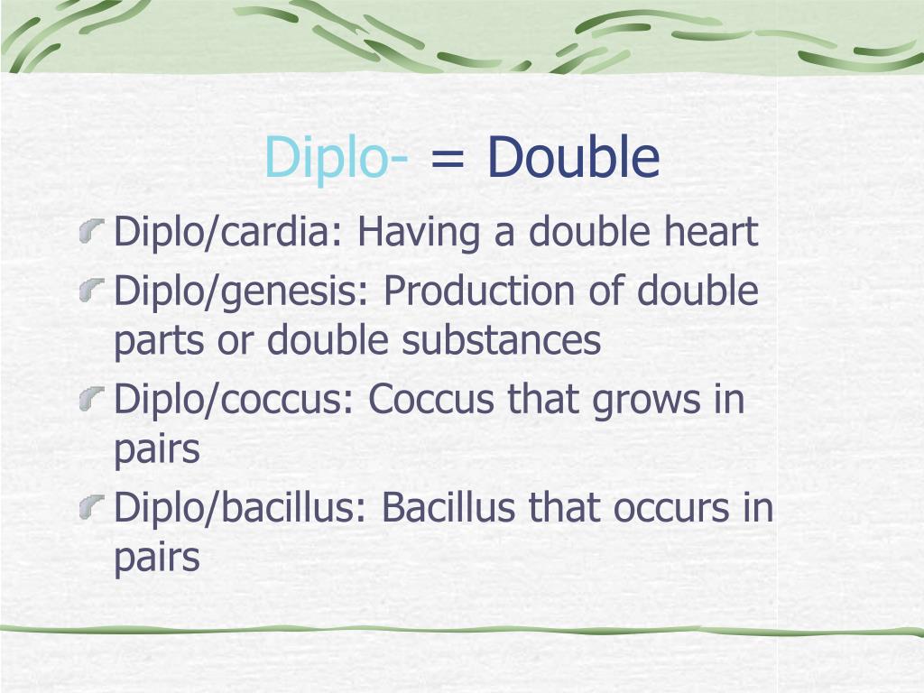 PPT - Medical Terminology PowerPoint Presentation, free download - ID ...