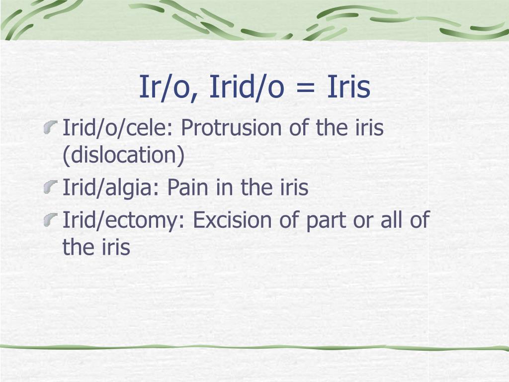 PPT - Medical Terminology PowerPoint Presentation, free download - ID ...