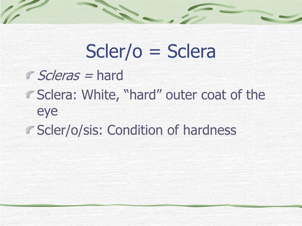 PPT - Medical Terminology PowerPoint Presentation, free download - ID ...