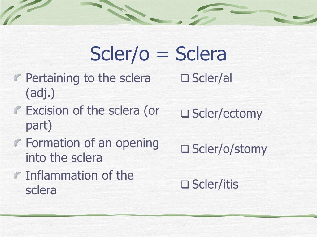 PPT - Medical Terminology PowerPoint Presentation, free download - ID ...