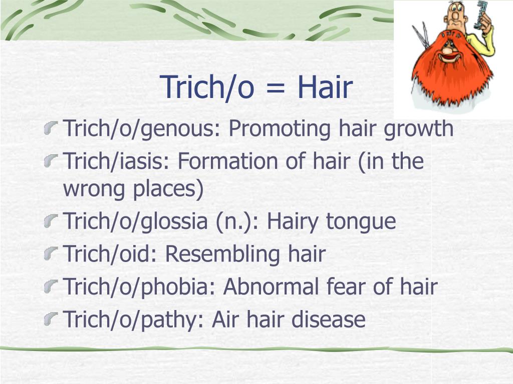 PPT - Medical Terminology PowerPoint Presentation, free download - ID ...
