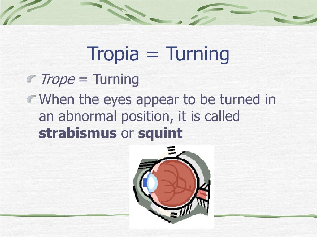PPT - Medical Terminology PowerPoint Presentation, free download - ID ...