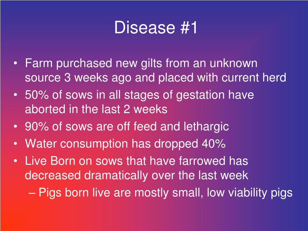 PPT - Healthy Swine- The Key to Happiness For Man and Swine PowerPoint ...
