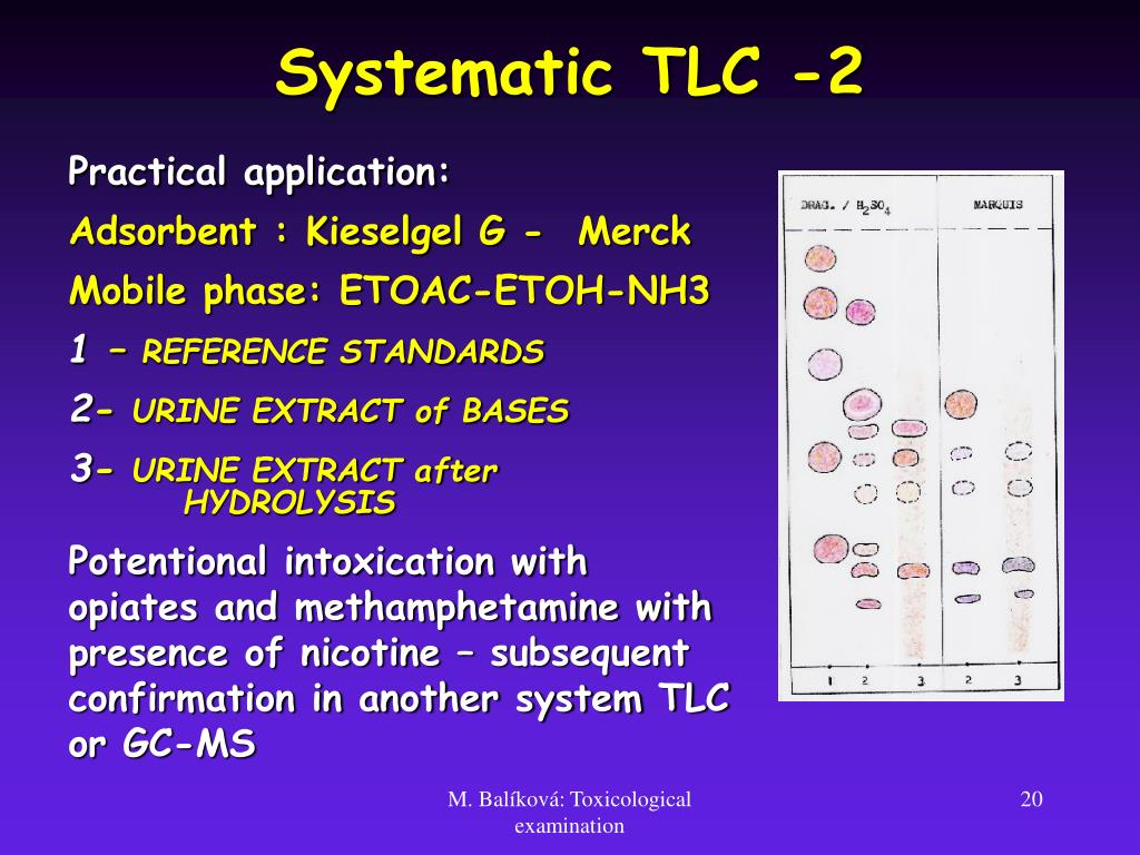PPT - TOXICOLOGY III. Toxicological examination PowerPoint Presentation ...