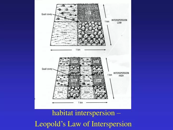 PPT - habitat interspersion – Leopold’s Law of Interspersion PowerPoint ...
