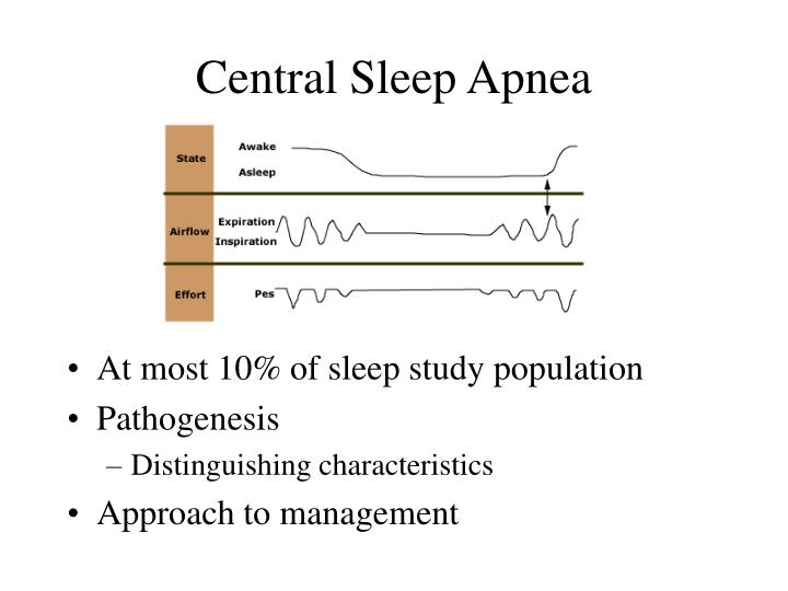 PPT - Central Sleep Apnea in Adults: Causes and Treatment PowerPoint ...