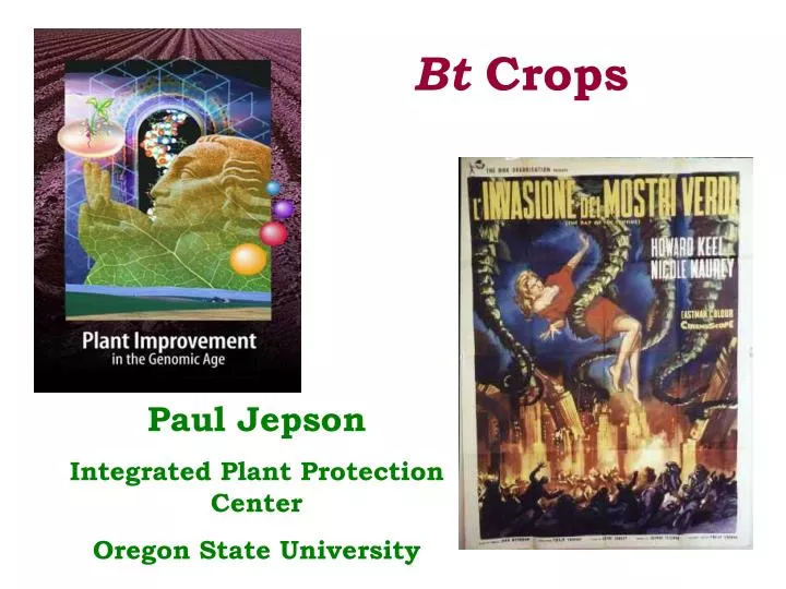 PPT - Bt Crops PowerPoint Presentation, free download - ID:6708193