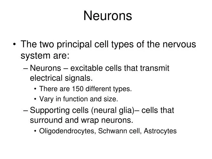 PPT - Neurons PowerPoint Presentation, free download - ID:6708926