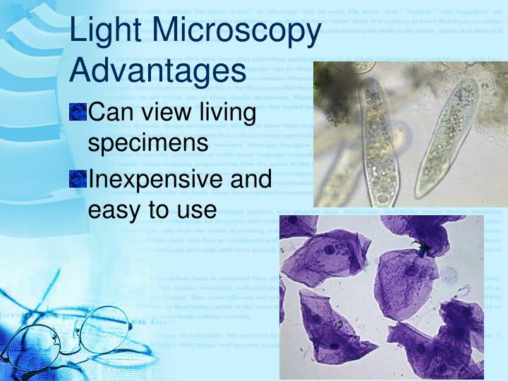 PPT - Microscopes and Cells PowerPoint Presentation - ID:6710166