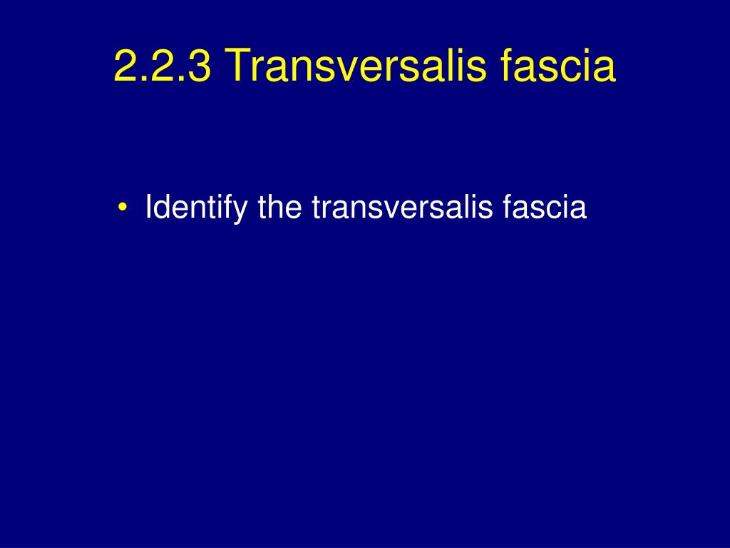 PPT - 2.1 Surface anatomy 2.2 Anterior abdominal wall PowerPoint ...