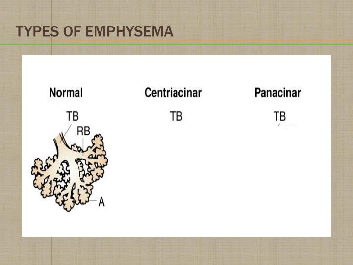PPT - Chapter 23 Disorders of Ventilation and Gas Exchange PowerPoint ...