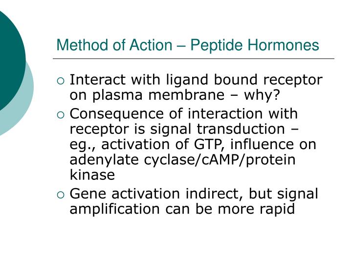 PPT - Hormones – An Introduction PowerPoint Presentation - ID:6710839