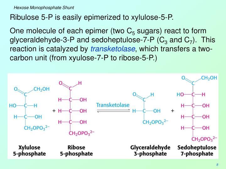 PPT - Biochemistry 3070 PowerPoint Presentation - ID:6711163