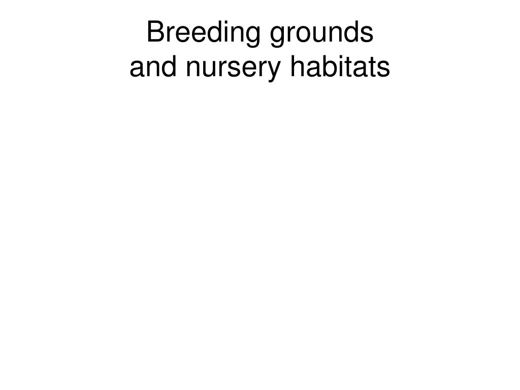 PPT - Valuing Mangrove Conservation in Southern Thailand PowerPoint ...