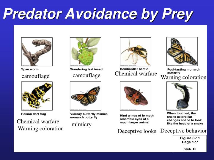 PPT - Community Ecology: Structure, Species Interactions, Succession ...