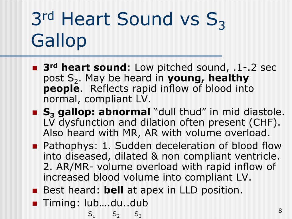 Ppt Heart Sounds And Murmurs Powerpoint Presentation Free Download