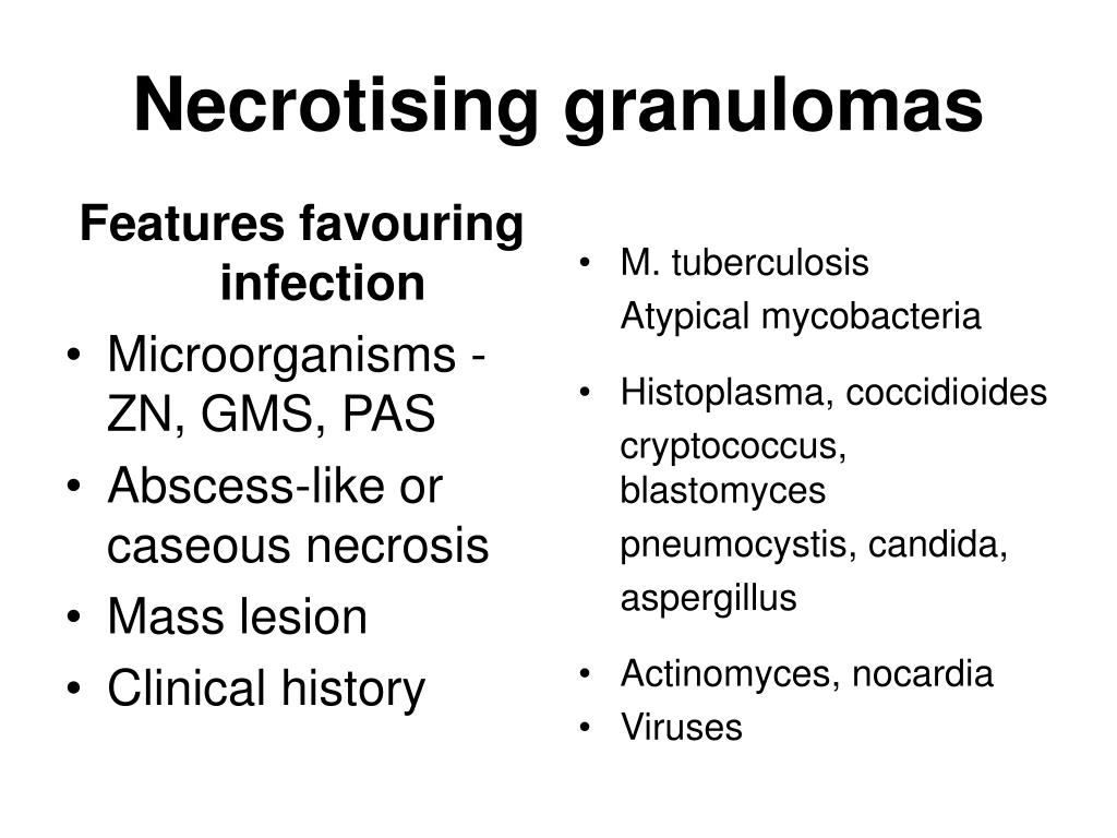 PPT - Granulomatous diseases of the lung PowerPoint Presentation, free ...
