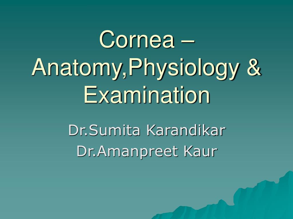 PPT - Cornea – Anatomy,Physiology & Examination PowerPoint Presentation ...
