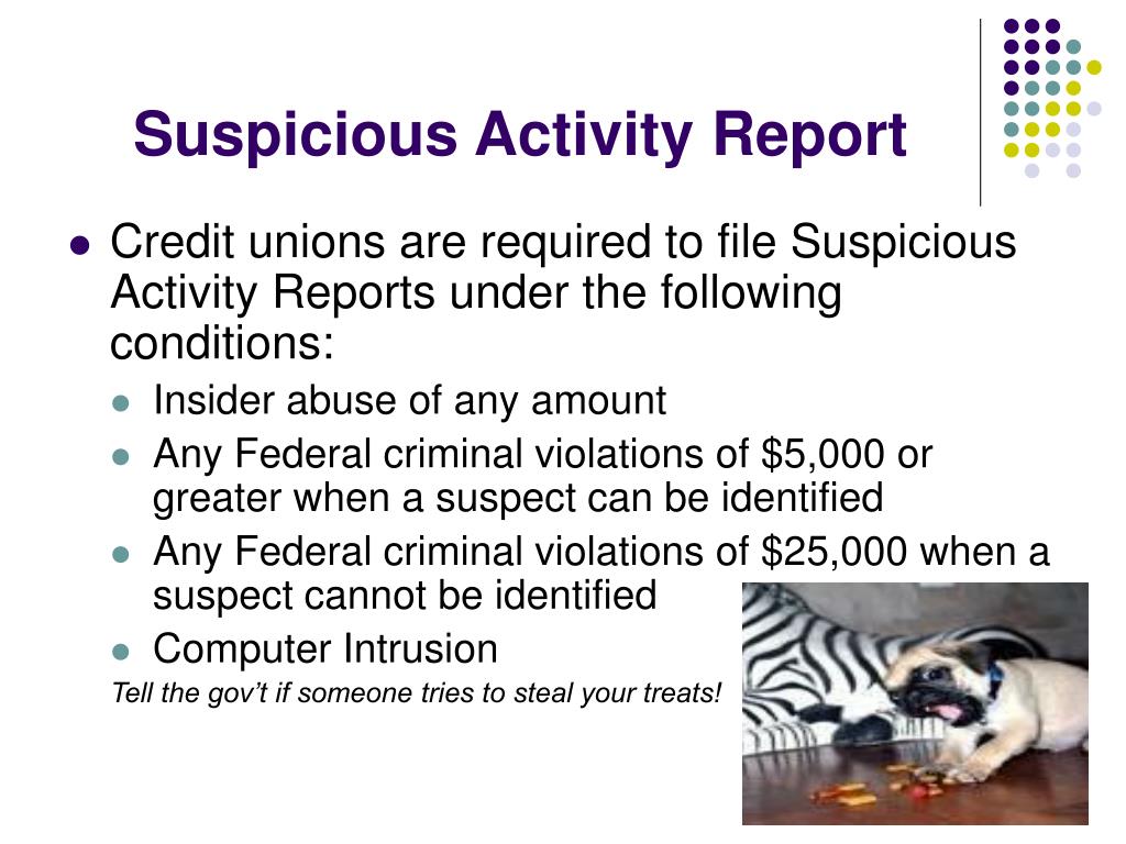 PPT - Bank Secrecy Act & Anti-Money Laundering Program PowerPoint ...