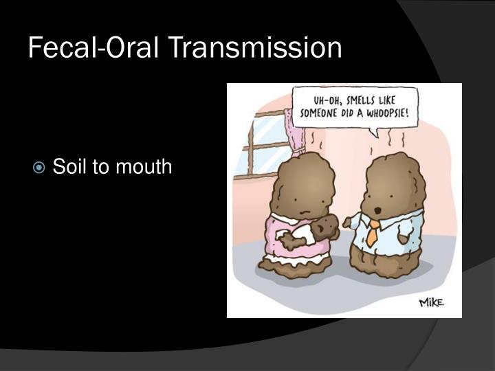 PPT - Trichuriasis PowerPoint Presentation - ID:6716440