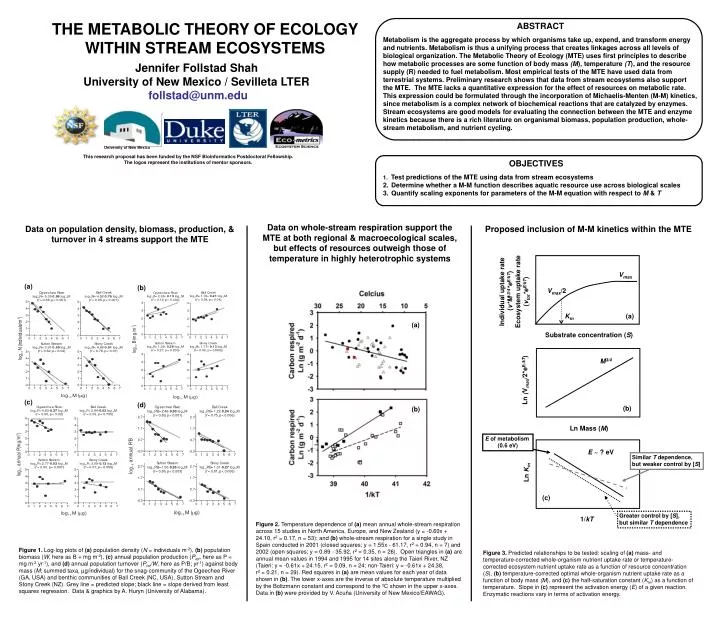 PPT - THE METABOLIC THEORY OF ECOLOGY WITHIN STREAM ECOSYSTEMS ...