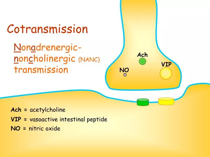 PPT - Cotransmission PowerPoint Presentation, free download - ID:6717461